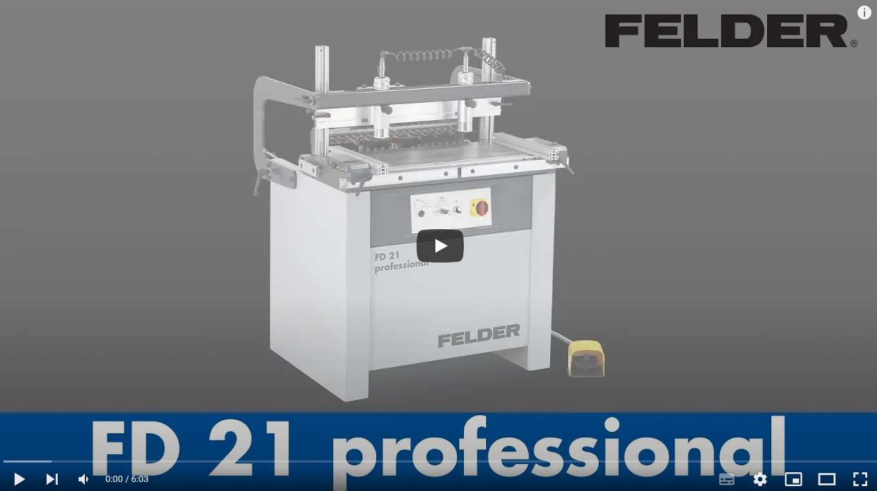 FD 21 Professional